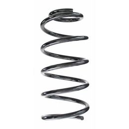 SPIDAN Fahrwerksfeder 87163 Hinterachse f&uuml;r Opel Vaughall