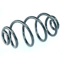 CS GERMANY Fahrwerksfeder 14871715 Hinterachse