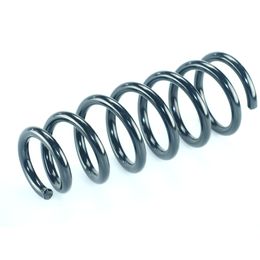 CS GERMANY Fahrwerksfeder 14872831 Hinterachse