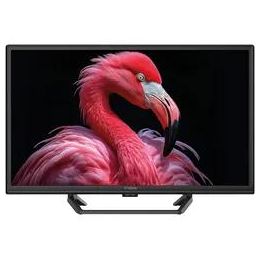 Strong LED-Fernseher "SRT 24HG4723C", Energieeffizienz: D (A-G), schwarz, 24 &prime;&prime;, Fernseher, Video-Streaming: Netflix, Youtube, Amazon Prime Video, Disney+