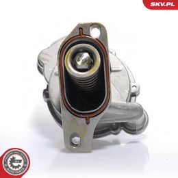 ESEN SKV Unterdruckpumpe, Bremsanlage 18skv005 f&uuml;r Volvo VW VAG