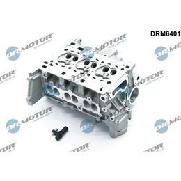DR.MOTOR AUTOMOTIVE Zylinderkopf drm6401 f&uuml;r FORD