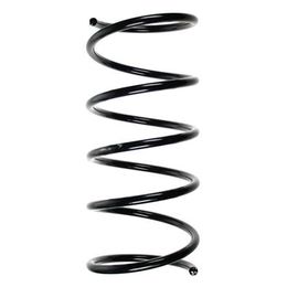 SPIDAN Fahrwerksfeder 55148 Vorderachse f&uuml;r Peugeot