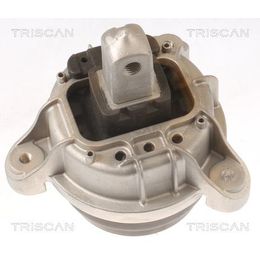 TRISCAN Lagerung, Motor 850511116 f&uuml;r BMW