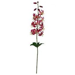Kunstblume Creativ green "Wildlilienzweig", dunkelrosa, H:81cm, Kunststoff, Kunstpflanzen, mit zauberhaften Bl&uuml;ten