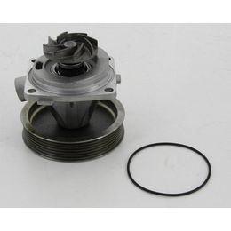 TRISCAN Wasserpumpe 860010080 f&uuml;r PEUGEOT FIAT