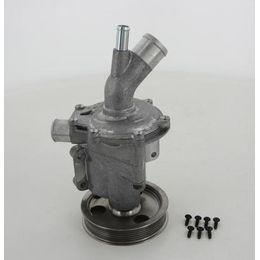 TRISCAN Wasserpumpe 860011966 f&uuml;r JEEP MINI