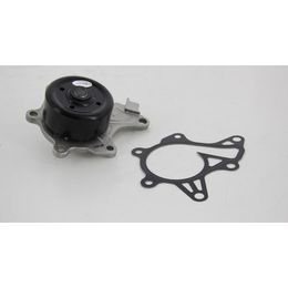 TRISCAN Wasserpumpe 860013043 f&uuml;r TOYOTA