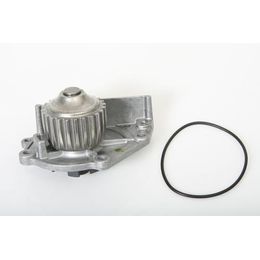 TRISCAN Wasserpumpe 860017963 f&uuml;r LAND ROVER