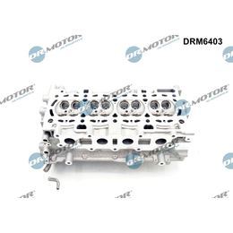 DR.MOTOR AUTOMOTIVE Zylinderkopf drm6403 f&uuml;r FORD