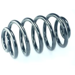 CS GERMANY Fahrwerksfeder 14774516 Hinterachse