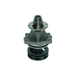 SALERI SIL Wasserpumpe pa714 f&uuml;r VAUXHALL MINI LAND ROVER GENERAL MOTORS BMW