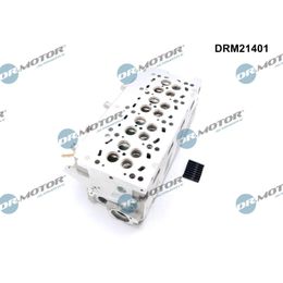 DR.MOTOR AUTOMOTIVE Zylinderkopf drm21401 f&uuml;r VW
