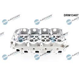 DR.MOTOR AUTOMOTIVE Zylinderkopf drm13407 f&uuml;r NISSAN