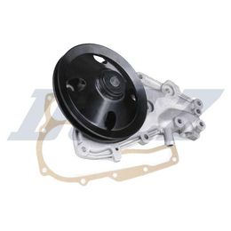 DOLZ Wasserpumpe r129 f&uuml;r RENAULT