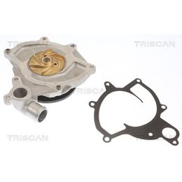 TRISCAN Wasserpumpe 860020004 f&uuml;r Porsche