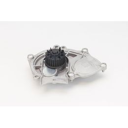 CONTINENTAL CTAM Wasserpumpe wp6122 f&uuml;r CUPRA VW Porsche Audi
