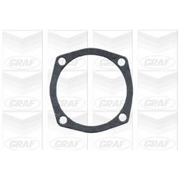 Graf Wasserpumpe pa101 f&uuml;r ALFA ROMEO NISSAN