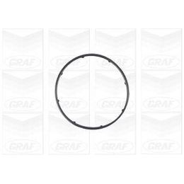 Graf Wasserpumpe pa1083 f&uuml;r Opel Vaughall Ford CHEVROLET LANCIA Fiat Peugeot Suzuki
