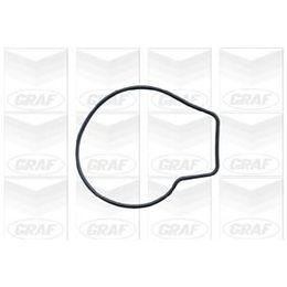 Graf Wasserpumpe pa428 f&uuml;r HONDA ISUZU ROVER