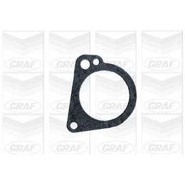 Graf Wasserpumpe pa440 f&uuml;r Ford