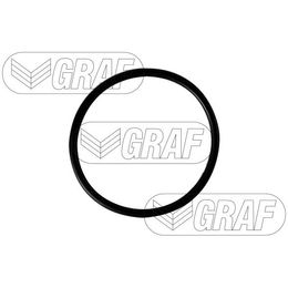 Graf Wasserpumpe pa875 f&uuml;r AUDI VW