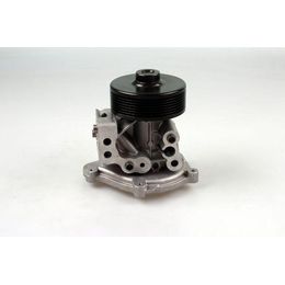 Hepu Wasserpumpe p259 f&uuml;r Ford