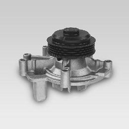 Hepu Wasserpumpe p829 f&uuml;r Peugeot