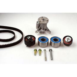 Hepu Wasserpumpe + Zahnriemensatz pk08090 f&uuml;r Citro&euml;n/Peugeot LAND ROVER Ford JAGUAR