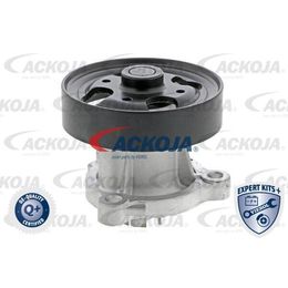 ACKOJA Wasserpumpe a3850005 f&uuml;r NISSAN