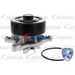 ACKOJA Wasserpumpe a7050012 f&uuml;r TOYOTA LEXUS