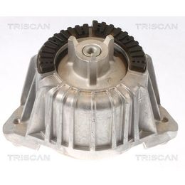 TRISCAN Lagerung, Motor 850523101 f&uuml;r Mercedes