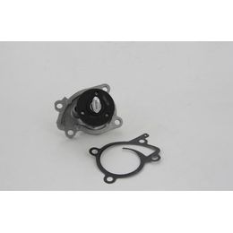 TRISCAN Wasserpumpe 860010071 f&uuml;r SMART MERCEDES-BENZ DACIA NISSAN