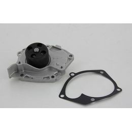 TRISCAN Wasserpumpe 860010038 f&uuml;r RENAULT