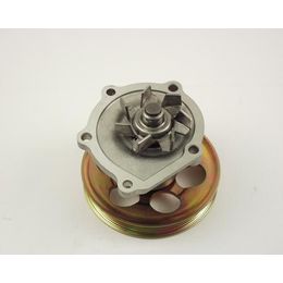 TRISCAN Wasserpumpe 860013010 f&uuml;r TOYOTA