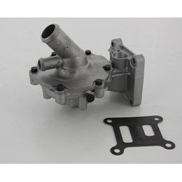 TRISCAN Wasserpumpe 860016024 f&uuml;r FORD JAGUAR