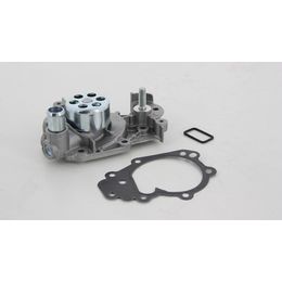TRISCAN Wasserpumpe 860025019 f&uuml;r RENAULT