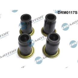 DR.MOTOR AUTOMOTIVE Dichtung, D&uuml;senhalter drm0117s f&uuml;r RENAULT