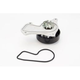 CONTINENTAL CTAM Wasserpumpe wps3129 f&uuml;r DACIA NISSAN