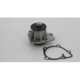 TRISCAN Wasserpumpe 860010036 f&uuml;r KIA JEEP PEUGEOT FIAT MITSUBISHI