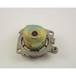 TRISCAN Wasserpumpe 860015120 f&uuml;r LANCIA