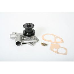 TRISCAN Wasserpumpe 860025080 f&uuml;r RENAULT