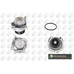 BGA Wasserpumpe cp3176 f&uuml;r VW Audi