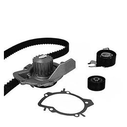 METELLI Wasserpumpe + Zahnriemensatz 3011101 f&uuml;r Ford Peugeot DS Fiat TOYOTA