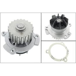 INA Wasserpumpe 538074210 f&uuml;r LADA