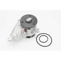 CONTINENTAL CTAM Wasserpumpe wps3188 f&uuml;r KIA