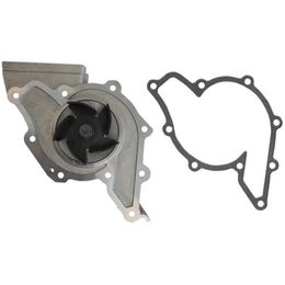 JP Group Wasserpumpe 1114105300 f&uuml;r VAG Audi