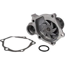 JP Group Wasserpumpe 3914101900 f&uuml;r MITSUBISHI
