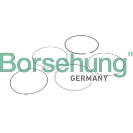 BORSEHUNG Kolbenringsatz b10373 f&uuml;r BMW
