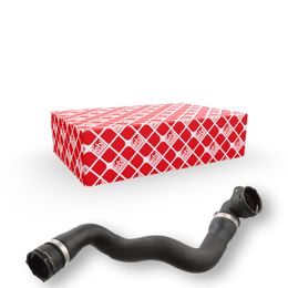 febi bilstein K&uuml;hlerschlauch 103888 rechts unten f&uuml;r BMW